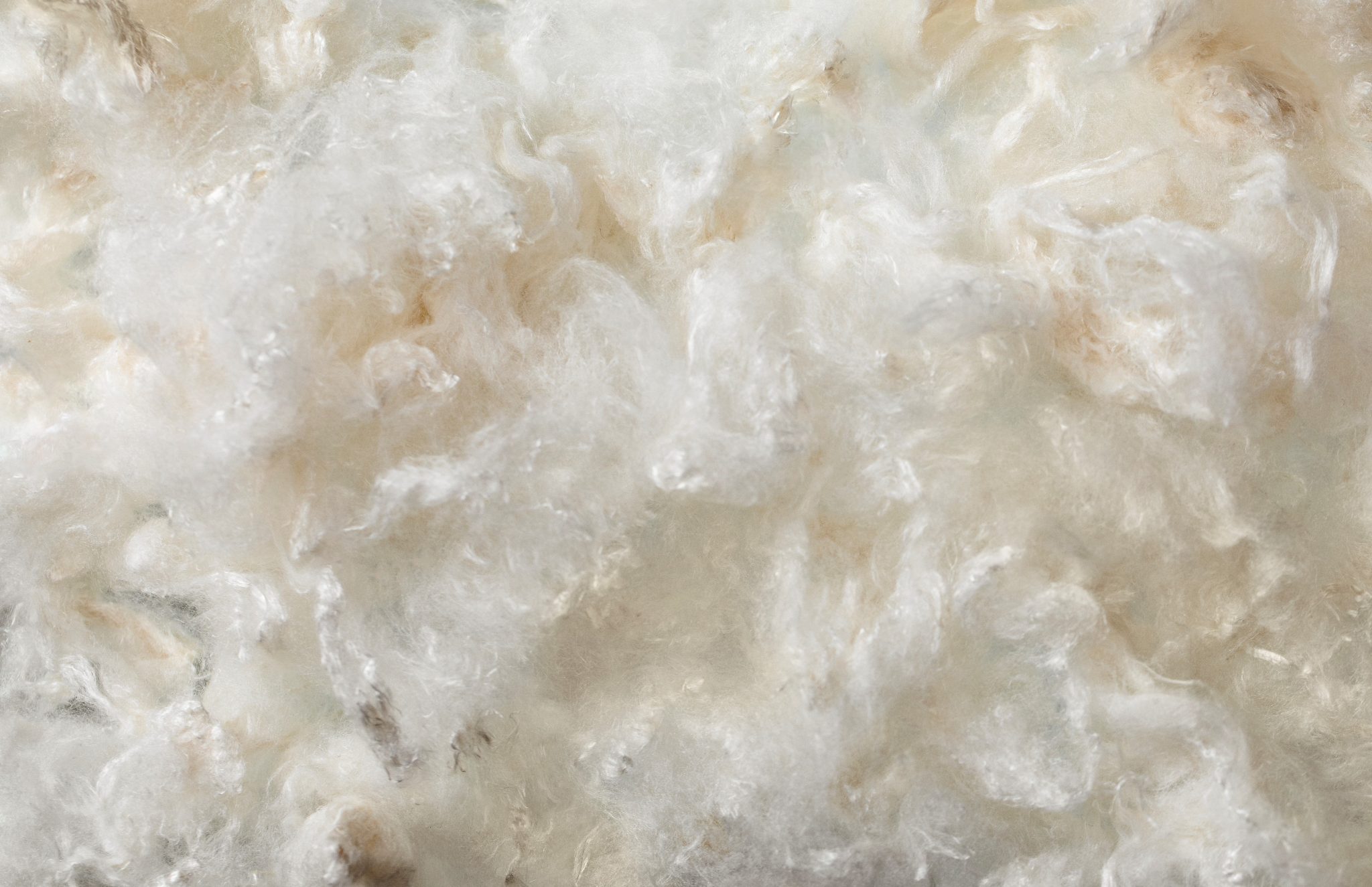 From rags to new robes: closing the loop for textiles - Biotalous ...